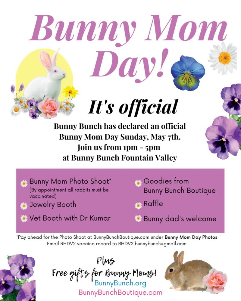 It's Official! Bunny Mom's Day is May 7! - The Bunny Bunch