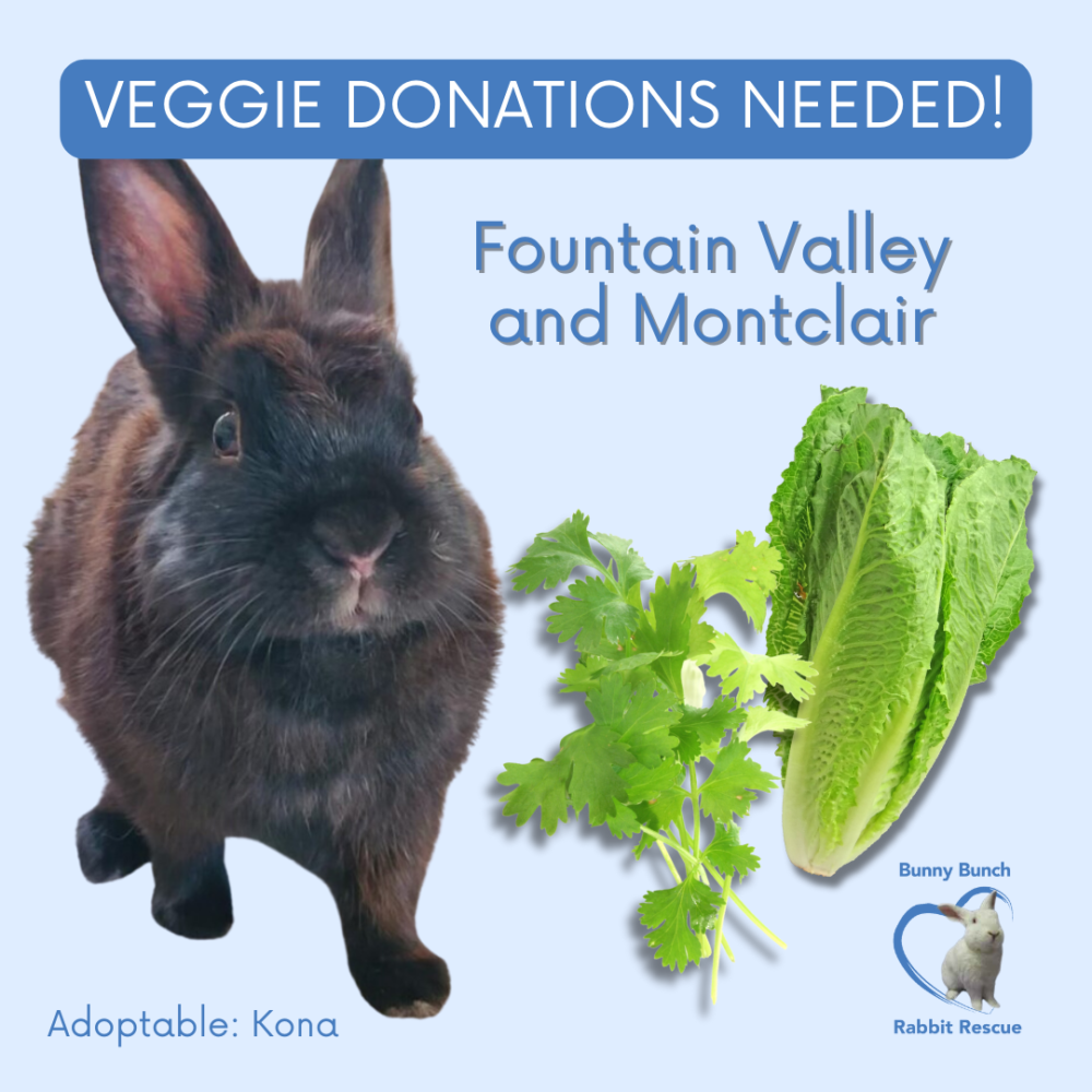 Veggie Donations Needed! - The Bunny Bunch