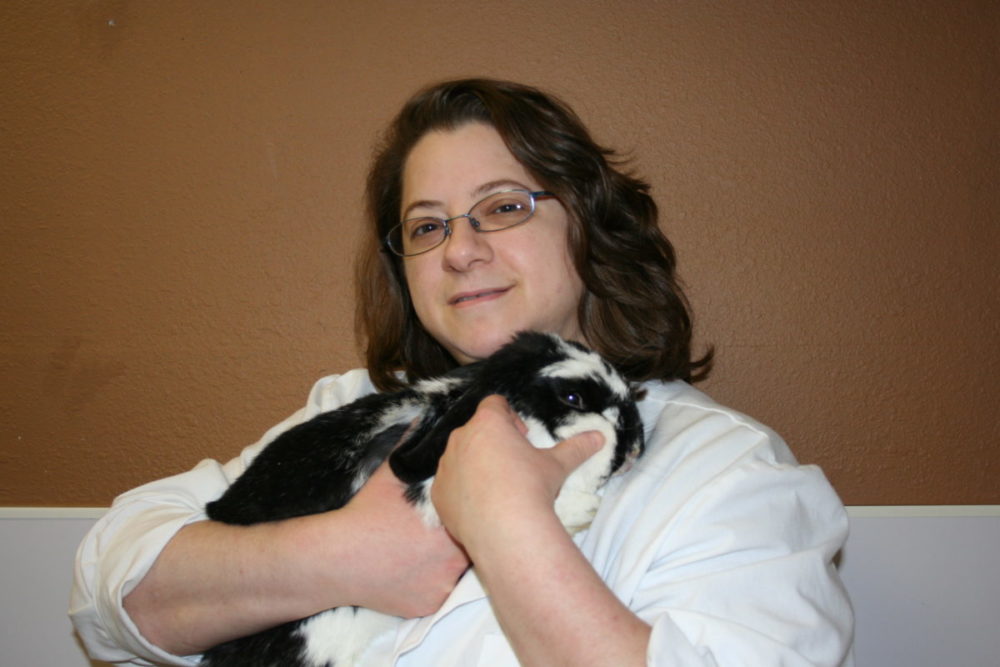 Dr Kanfer - The Bunny Bunch