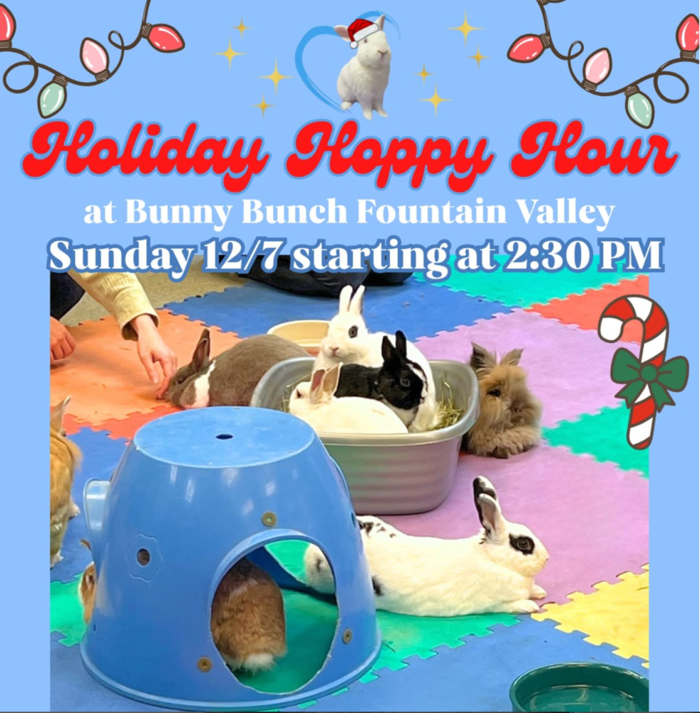 Join Us For Hoppy Hour! - The Bunny Bunch