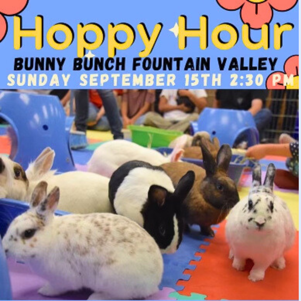 Hoppy Hour! - The Bunny Bunch