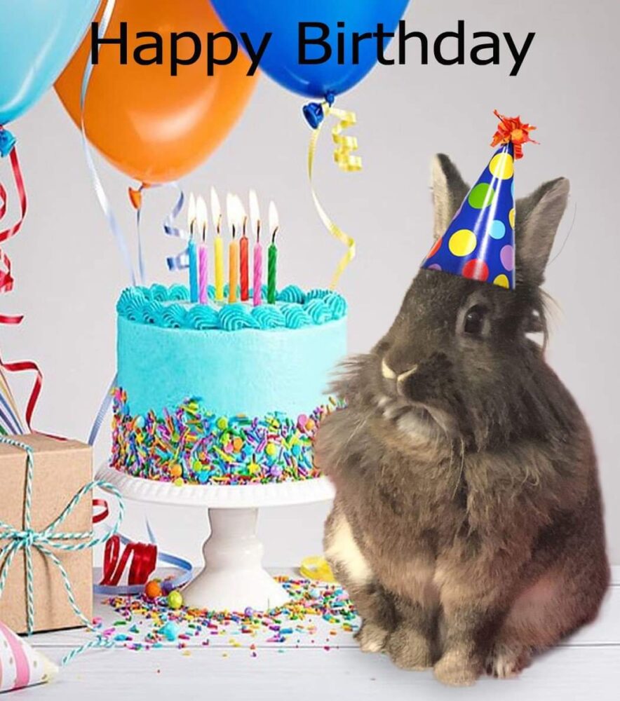 Happy Bunny Happy Birthday
