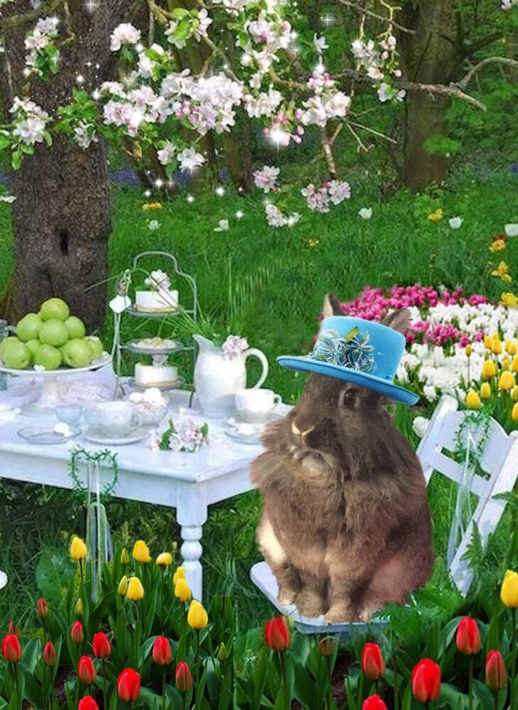 HOPPY EASTER!! - The Bunny Bunch