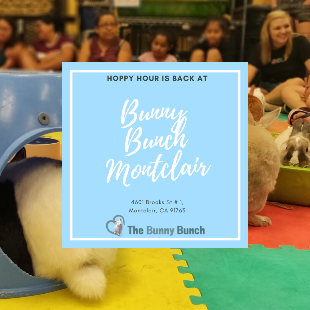 Hoppy Hour is BACK at Bunny Bunch Montclair - The Bunny Bunch
