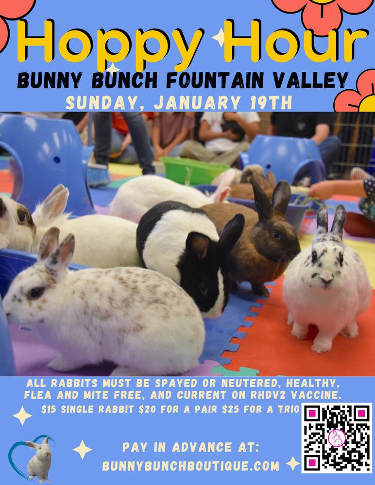 First Hoppy Hour of 2025 at Bunny Bunch! - The Bunny Bunch