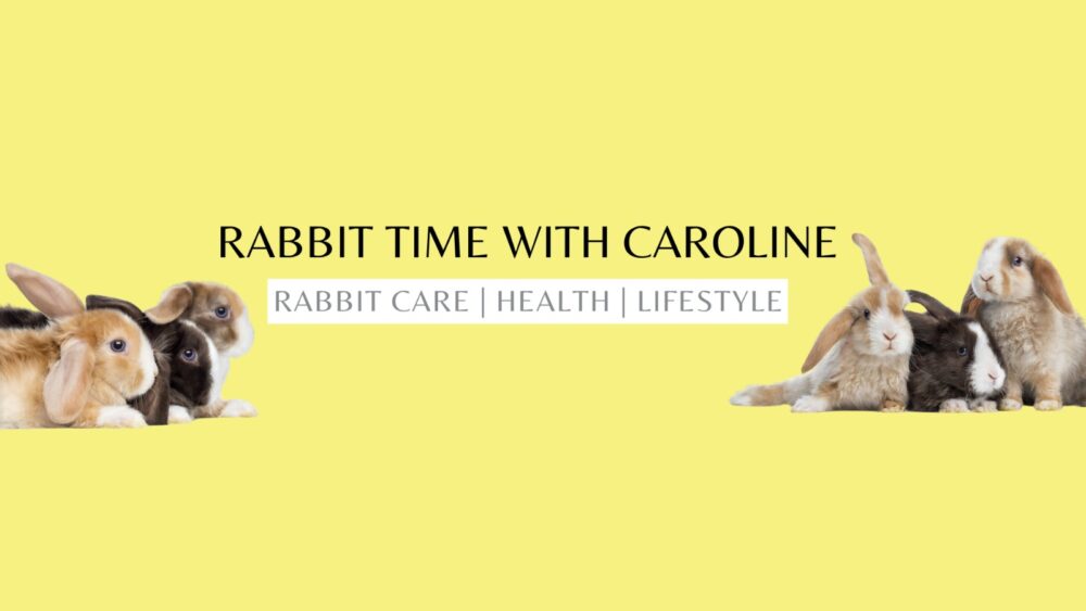 *Reminder* - Subscribe to Rabbit Time with Caroline - The Bunny Bunch