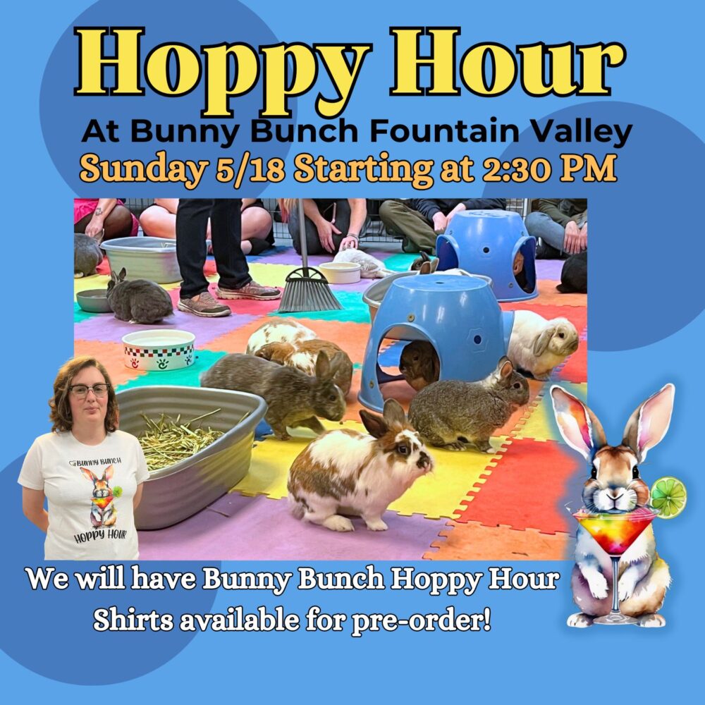 🐰🎉 Join Us for Hoppy Hour at Bunny Bunch Fountain Valley! 🎉🐰 - The ...