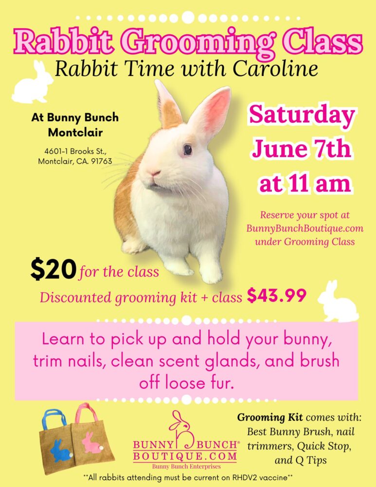 🐰 Hop into Bunny Care: Join Our Rabbit Grooming Class! 🛁 - The Bunny Bunch