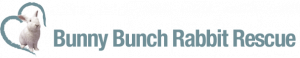 The Bunny Bunch | A Non Profit, No Kill Rabbit Rescue and Education ...