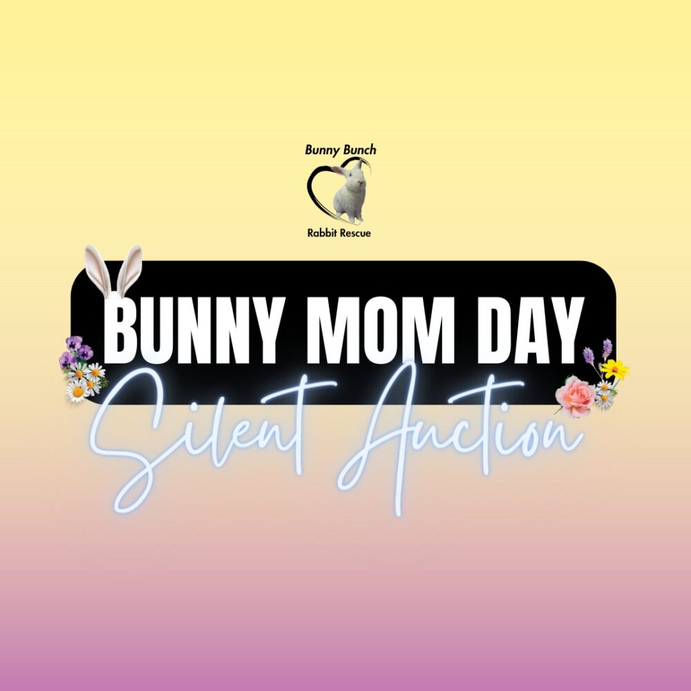 bunny mom day - The Bunny Bunch